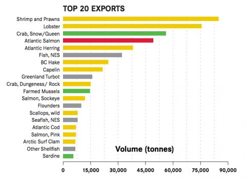 Salmon farming of the future - Catalyst