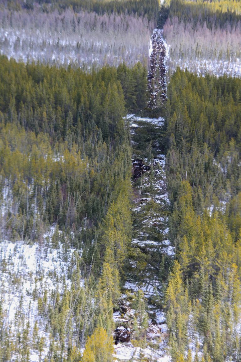 Fractured Forests: Alberta's seismic dilemma - Fractured Forests ...
