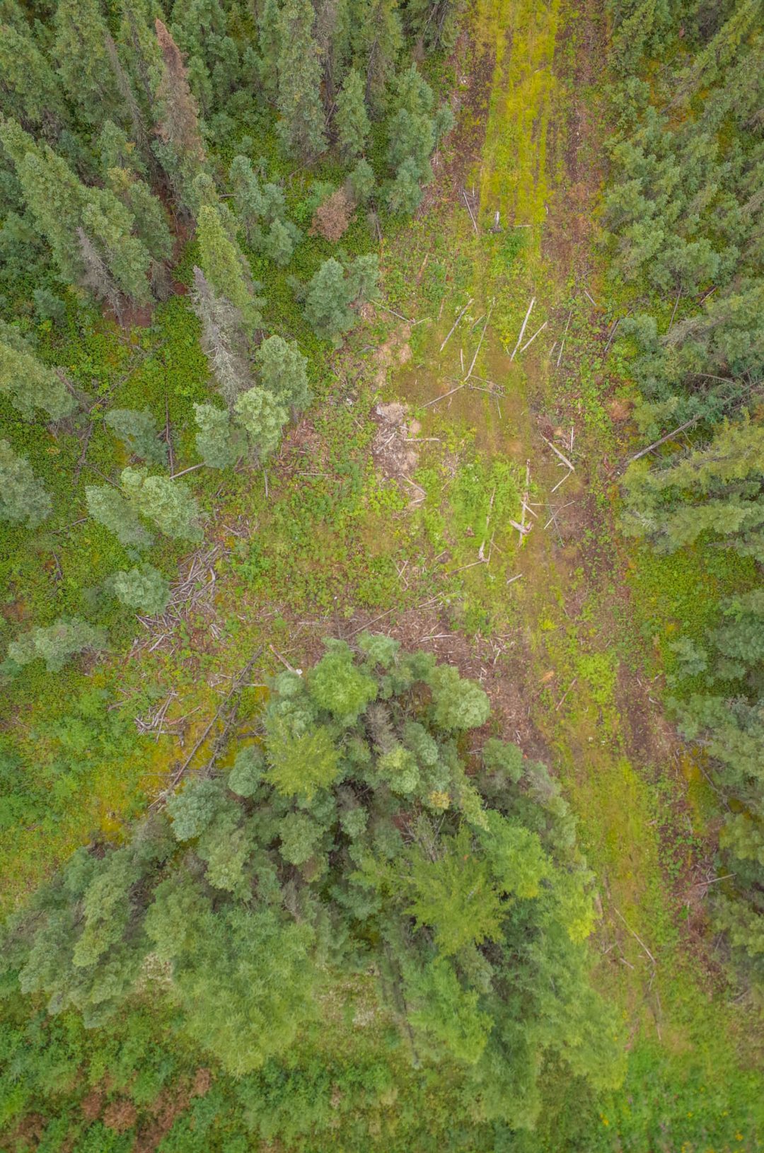 Fractured Forests: Alberta's seismic dilemma - Fractured Forests ...