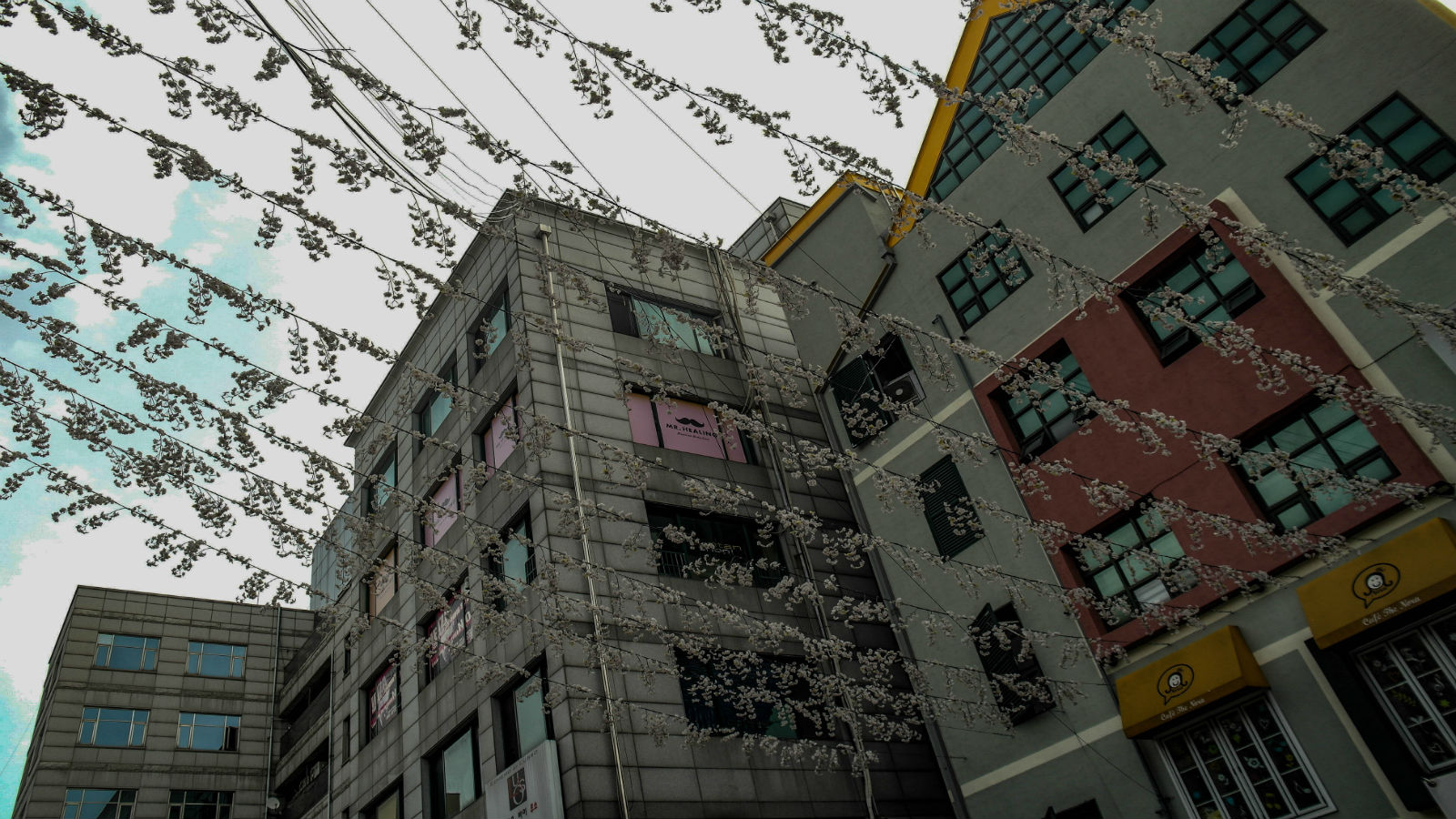 Inside the Hanawon - Strained Relations