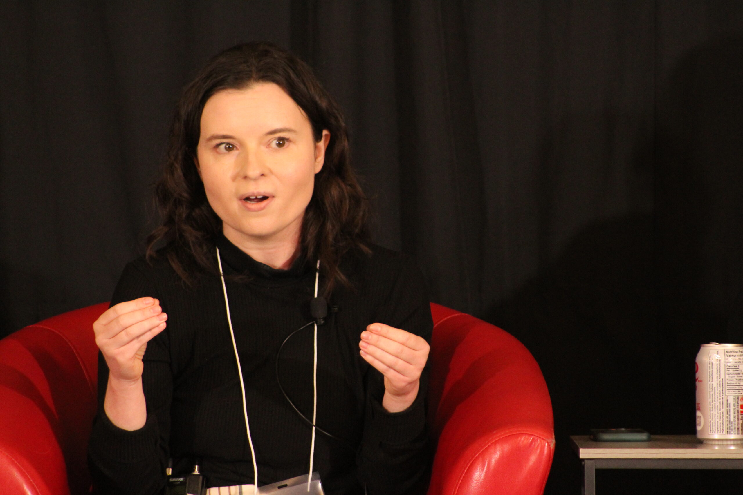 Plenary participants sum up challenges and chart course ahead for ...